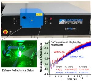 Transient Diffuse Reflectance Spectroscopy: Applications in ...
